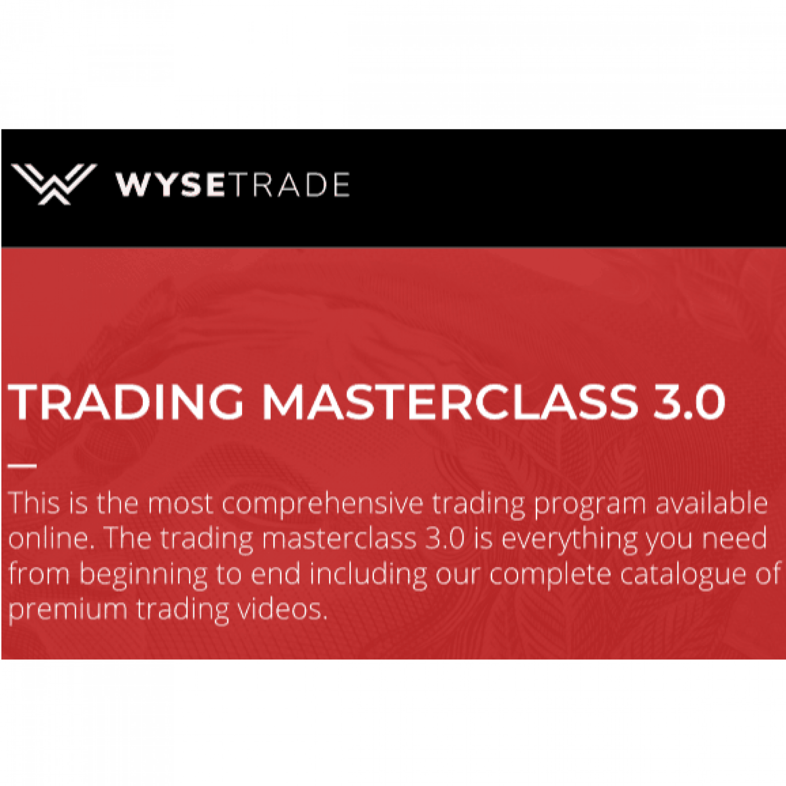WyseTrade Trading Masterclass 3.0-Forex Course All that you need to ...
