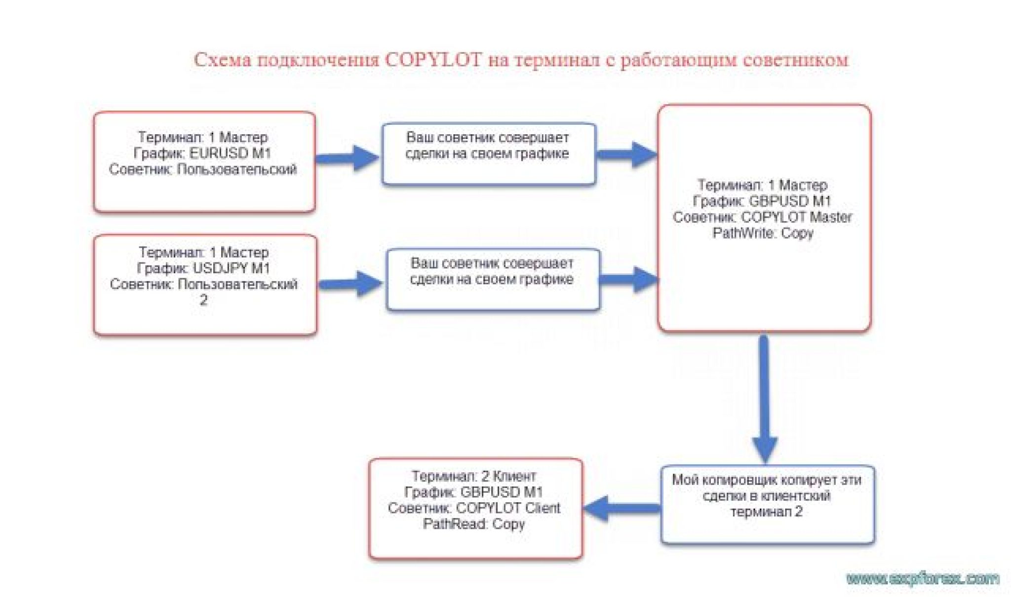 EXP COPYLOT Trade Copier | Forex Outlet Shop