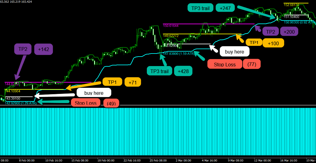 USA Bank Academy FX Hedge Fond Strategy V1.0 | Forex Outlet Shop